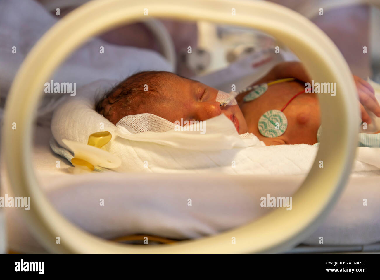 Department of neonatology hi-res stock photography and images - Alamy