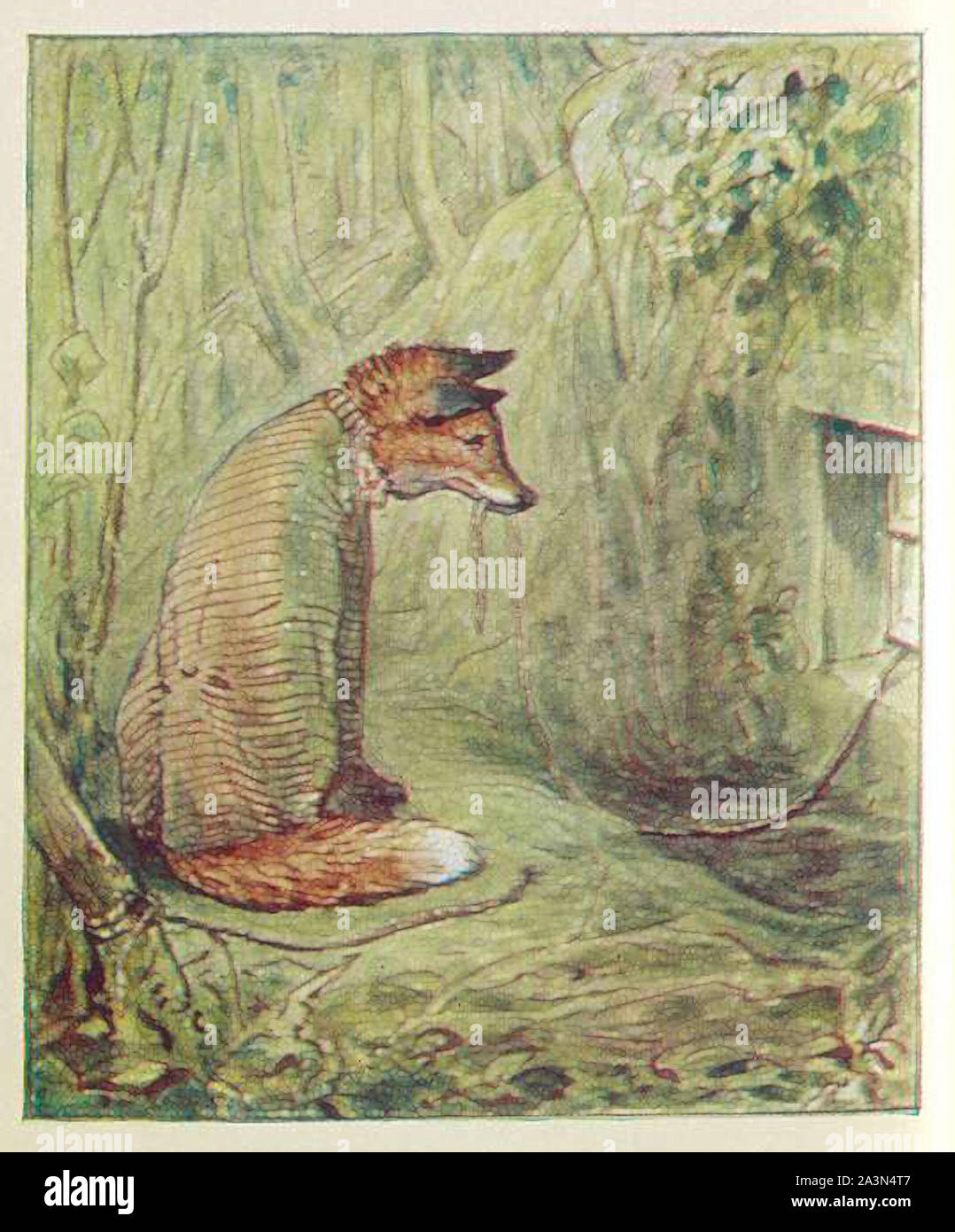 Beatrix Potter Benjamin Bunny High Resolution Stock Photography and ...