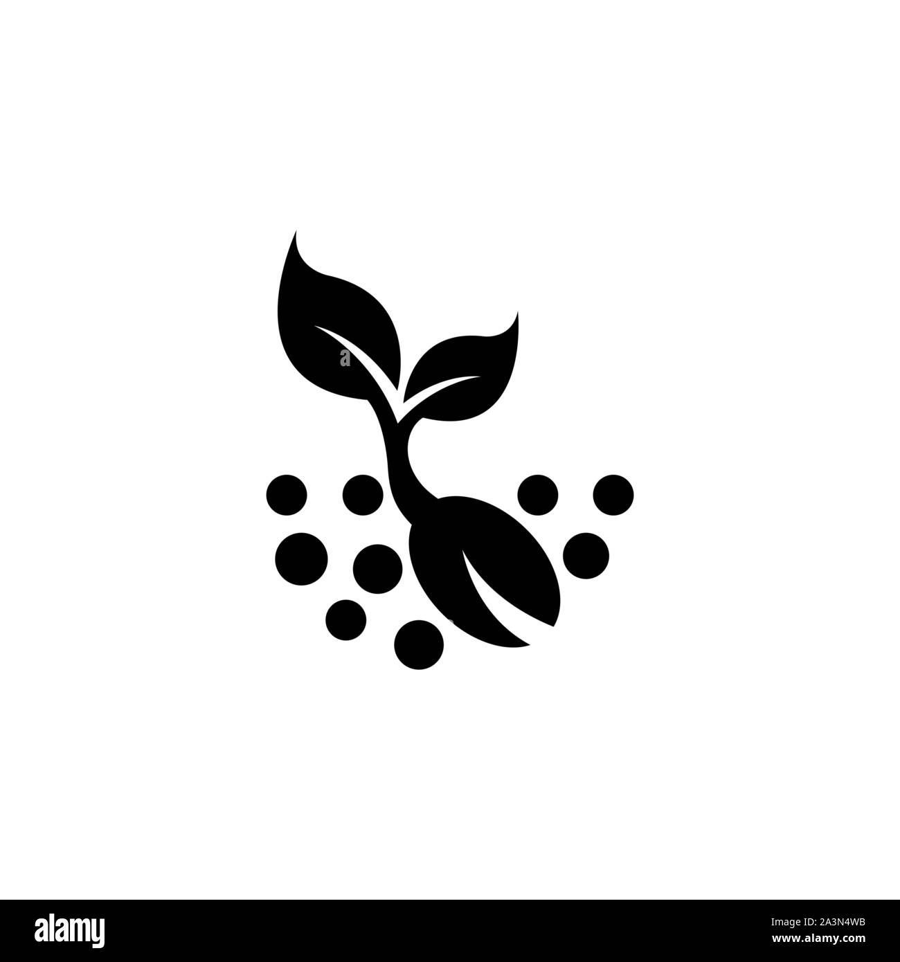 Seed Sprout Vector