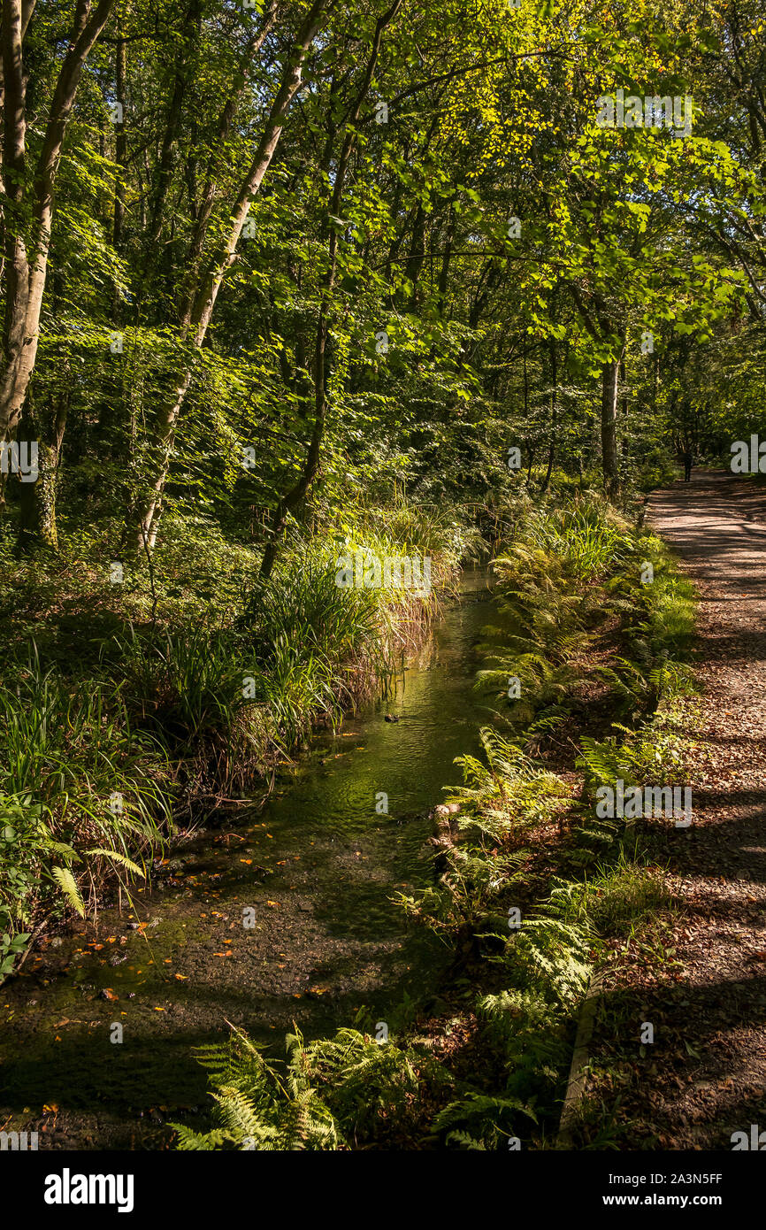 Tehidy Trail High Resolution Stock Photography and Images - Alamy