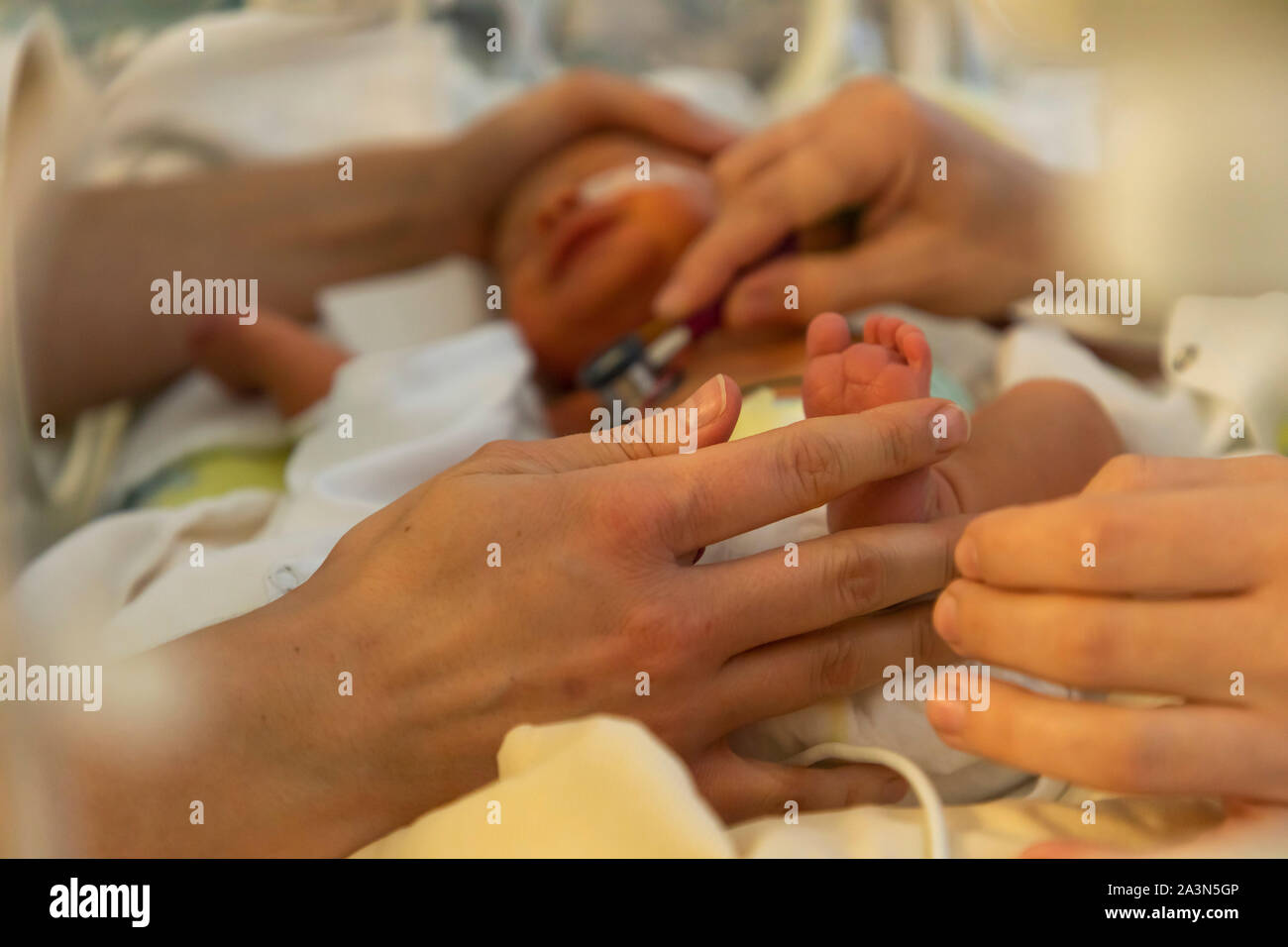 Premature baby hand hi-res stock photography and images - Alamy