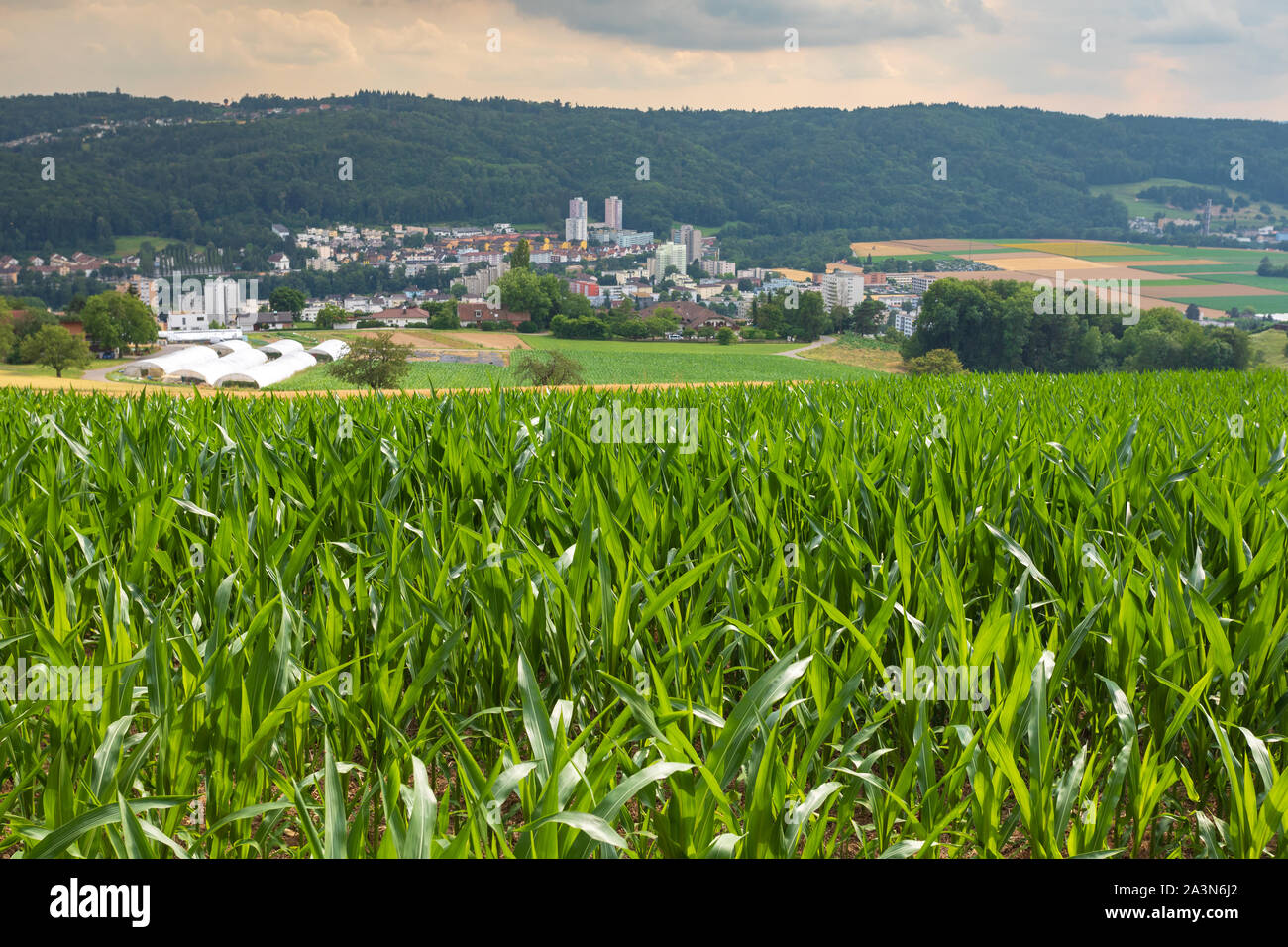 Obersiggenthal, Switzerland rural landscape Stock Photo - Alamy
