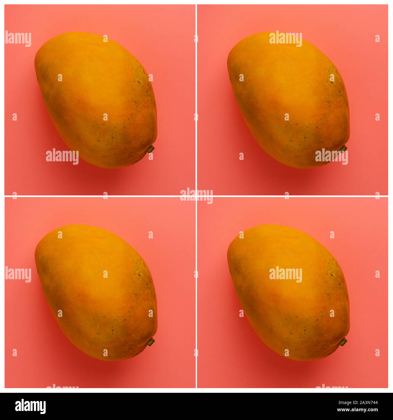 Collage of mango on coral background. Square image, top view Stock ...