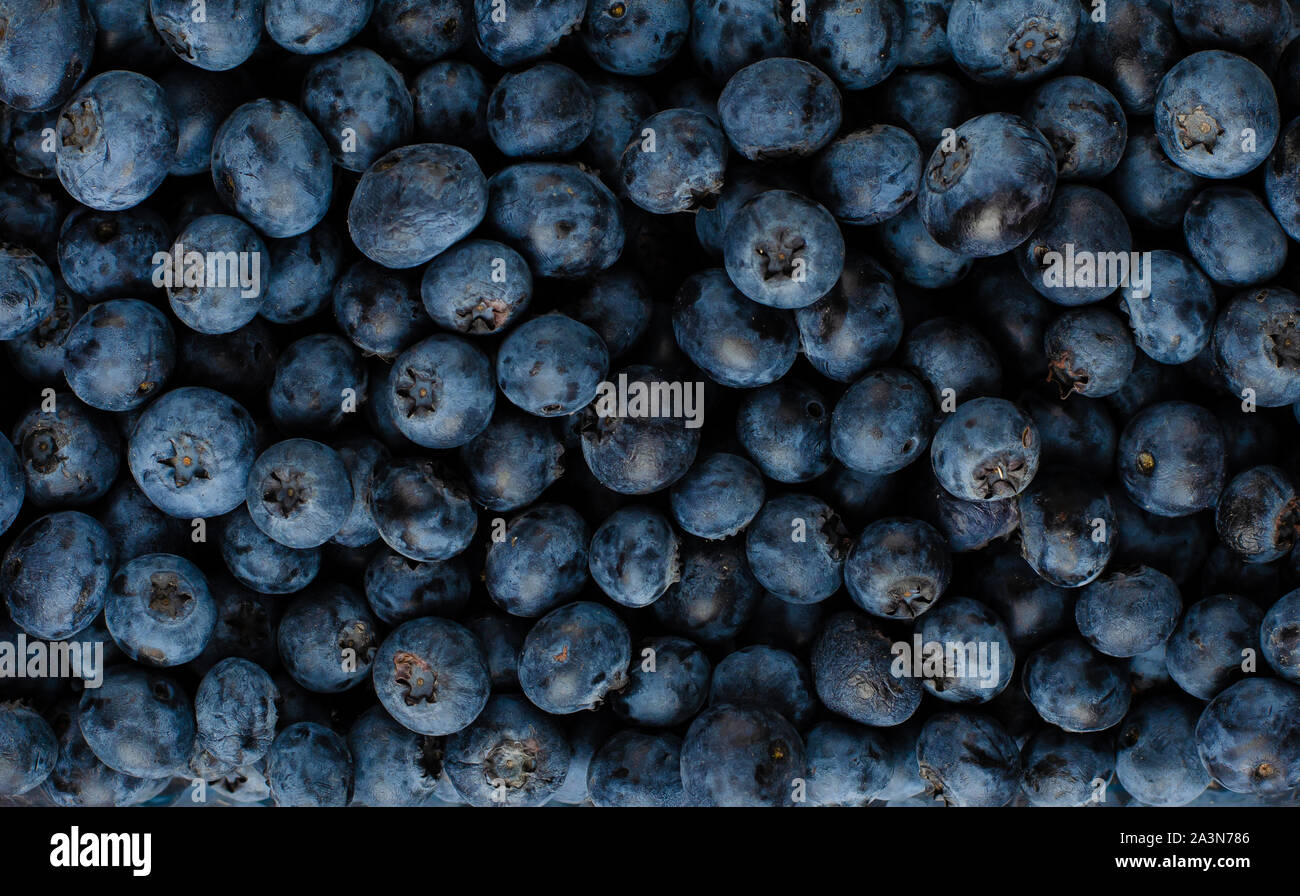 Blueberry texture concept Stock Photo - Alamy