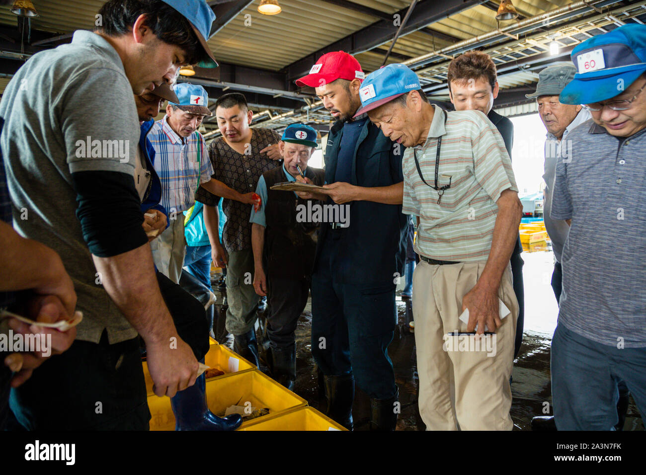 Fish Auction in Yaidu, Japan Stock Photo - Alamy