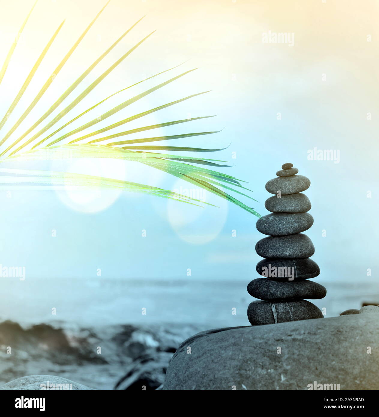 beautiful pebble stack and palm on a sandy beach. Sea on the background ...