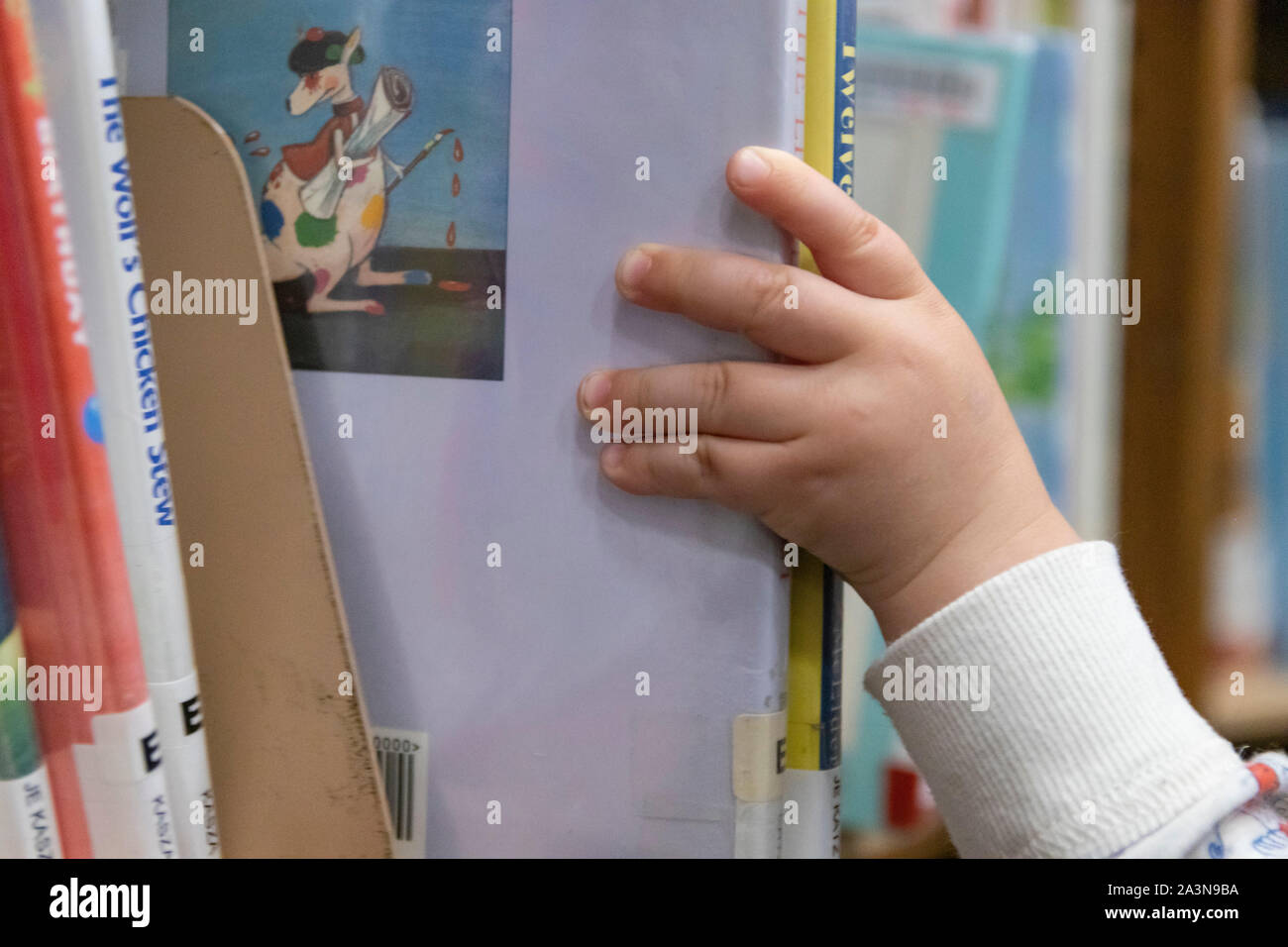 Child's bare hand pulling a children's book from a library bookshelf ...