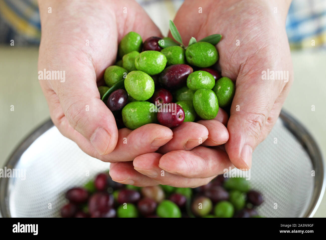 Olives hands hi-res stock photography and images - Alamy