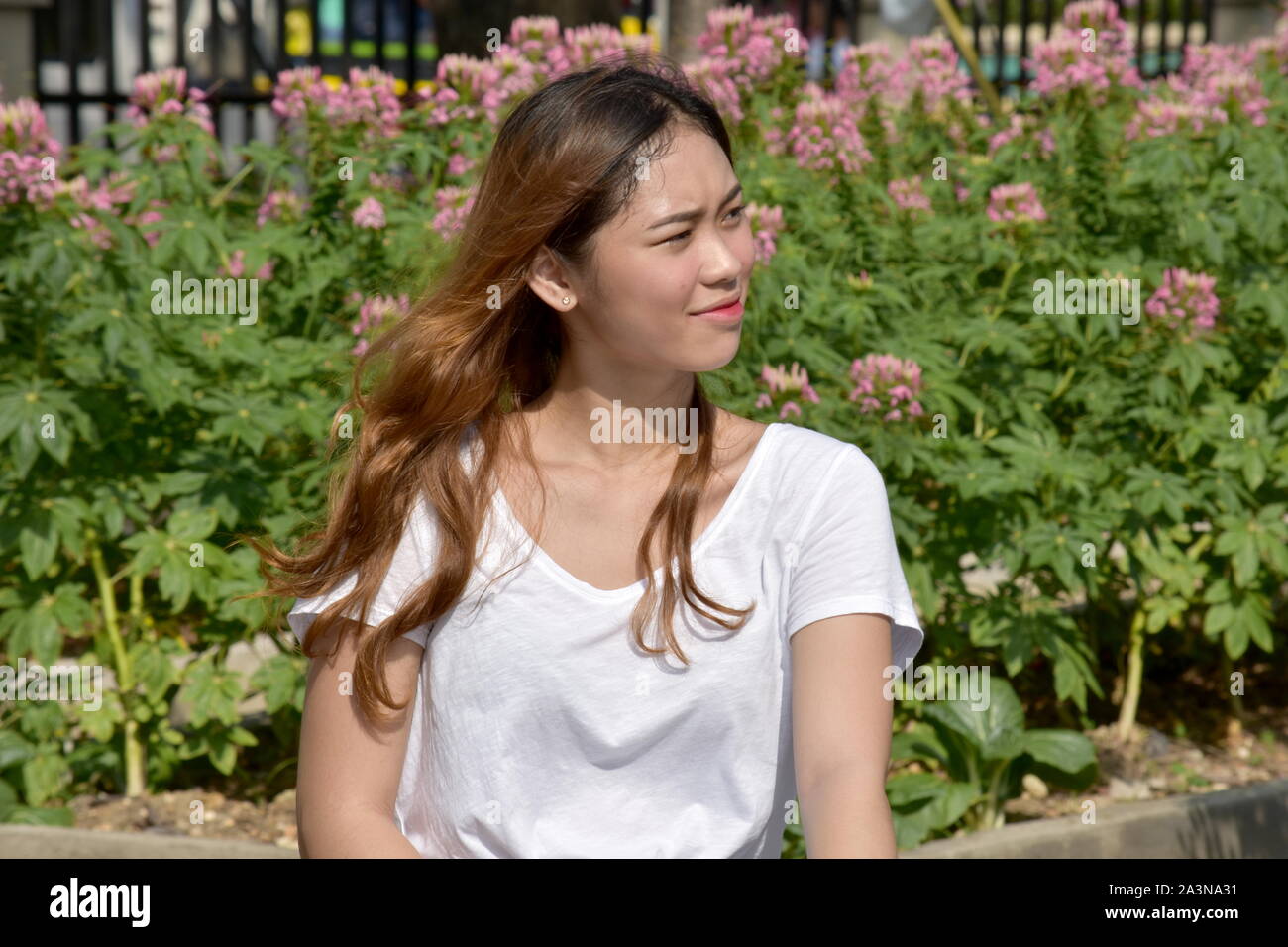 Contemplative Female Woman Stock Photo - Alamy