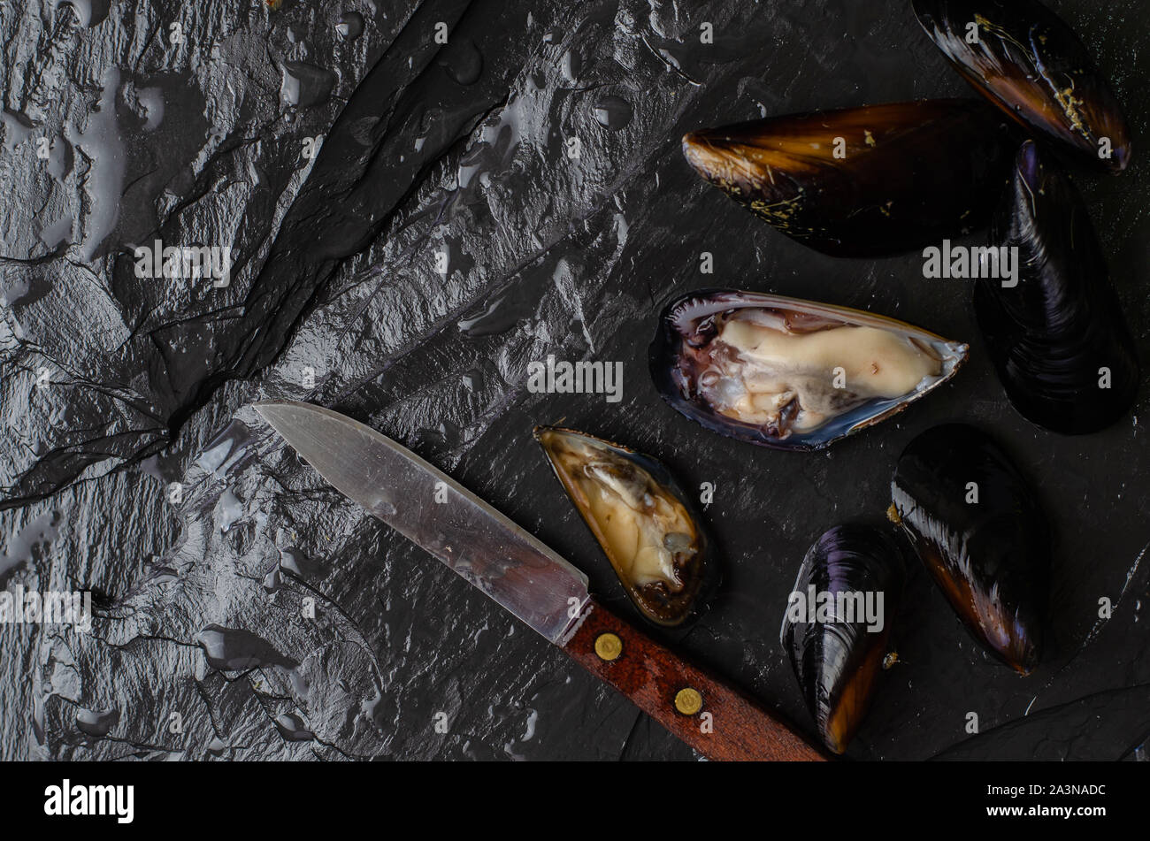 Italian seafood concept. Raw opened mussels on black background with ...