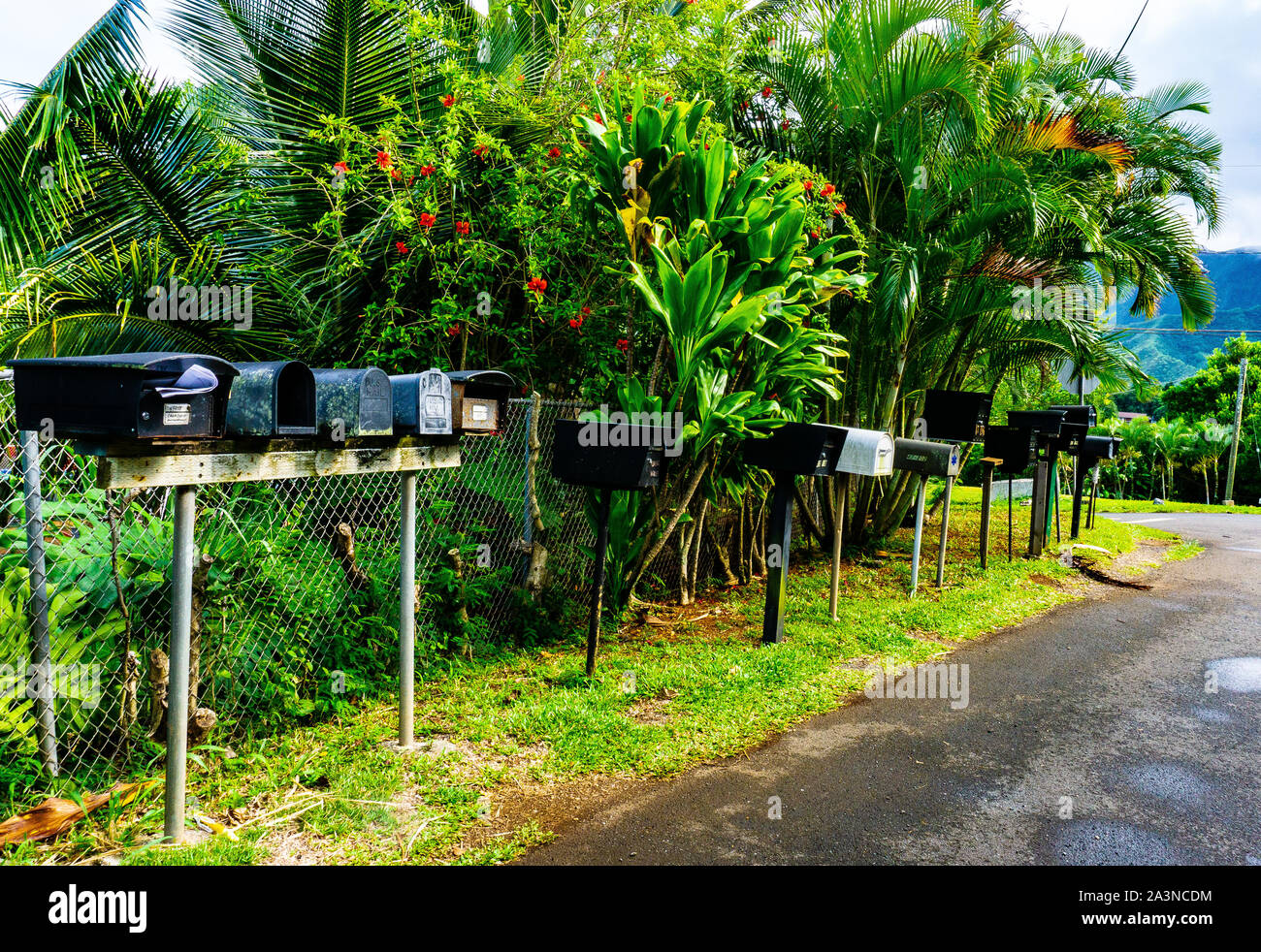 Hawaii mailboxes hi-res stock photography and images - Alamy