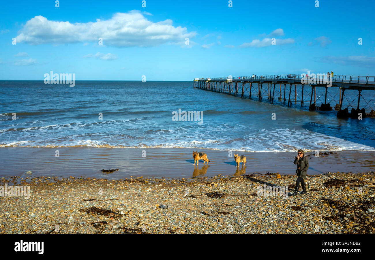Woman walking her two dogs on beach hi-res stock photography and images ...