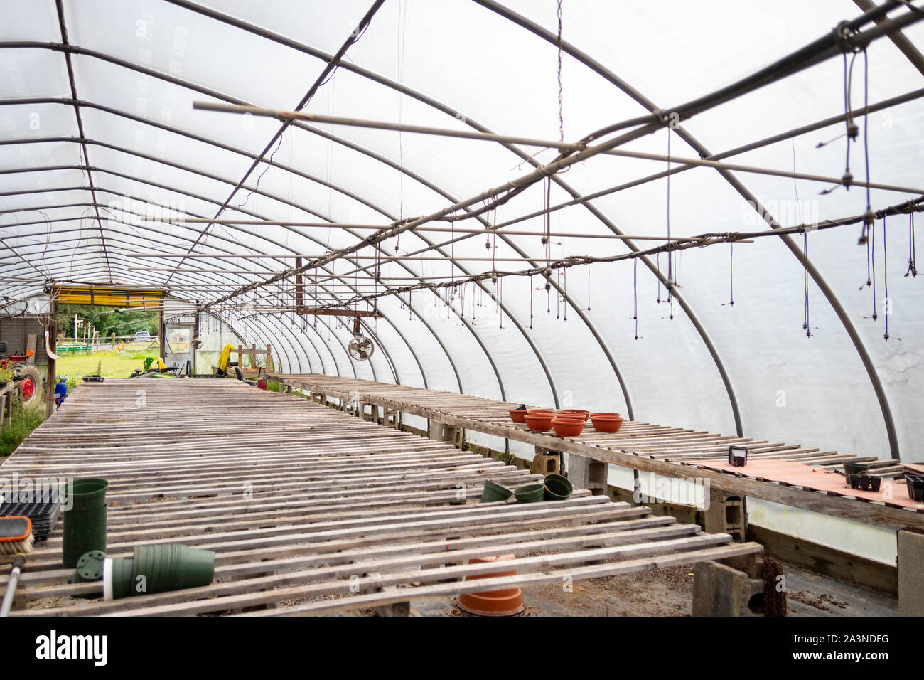 Clear pallets and growing tables with hanging sprinkler irrigation ...