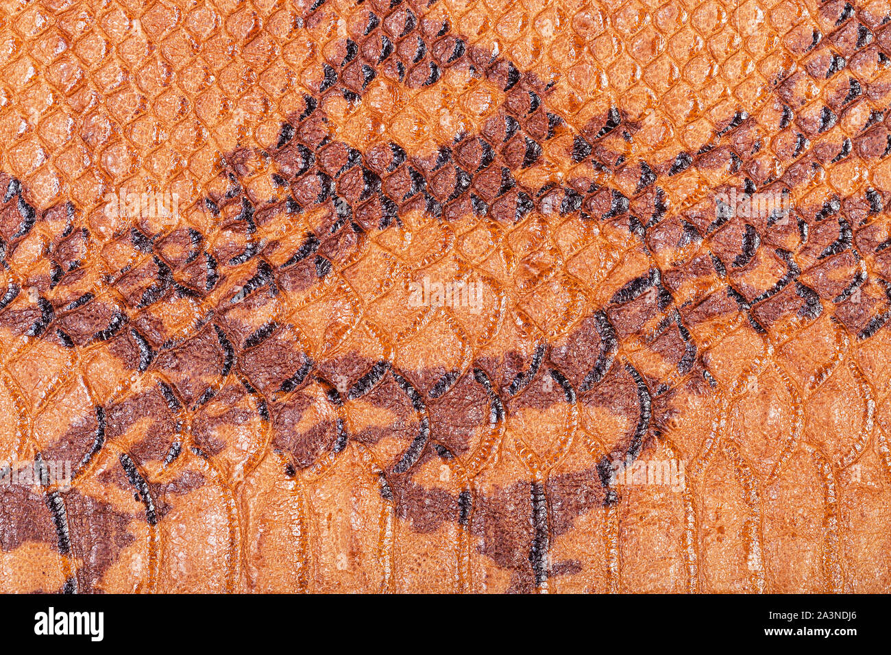 Snakeskin printed hi-res stock photography and images - Alamy
