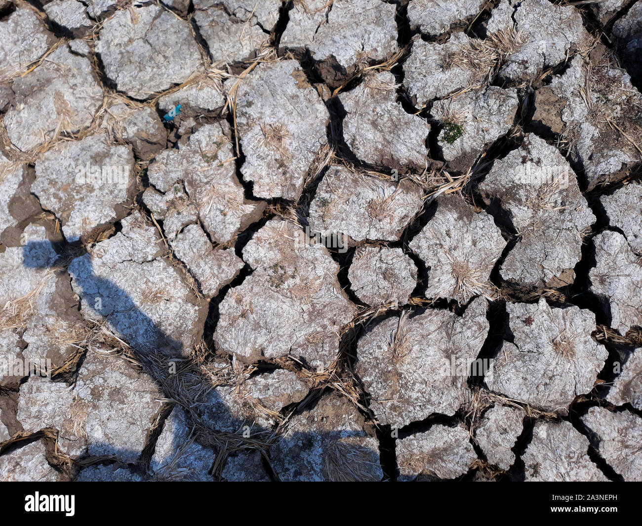 Cracked Land, Dried cracked earth soil ground texture background Stock ...