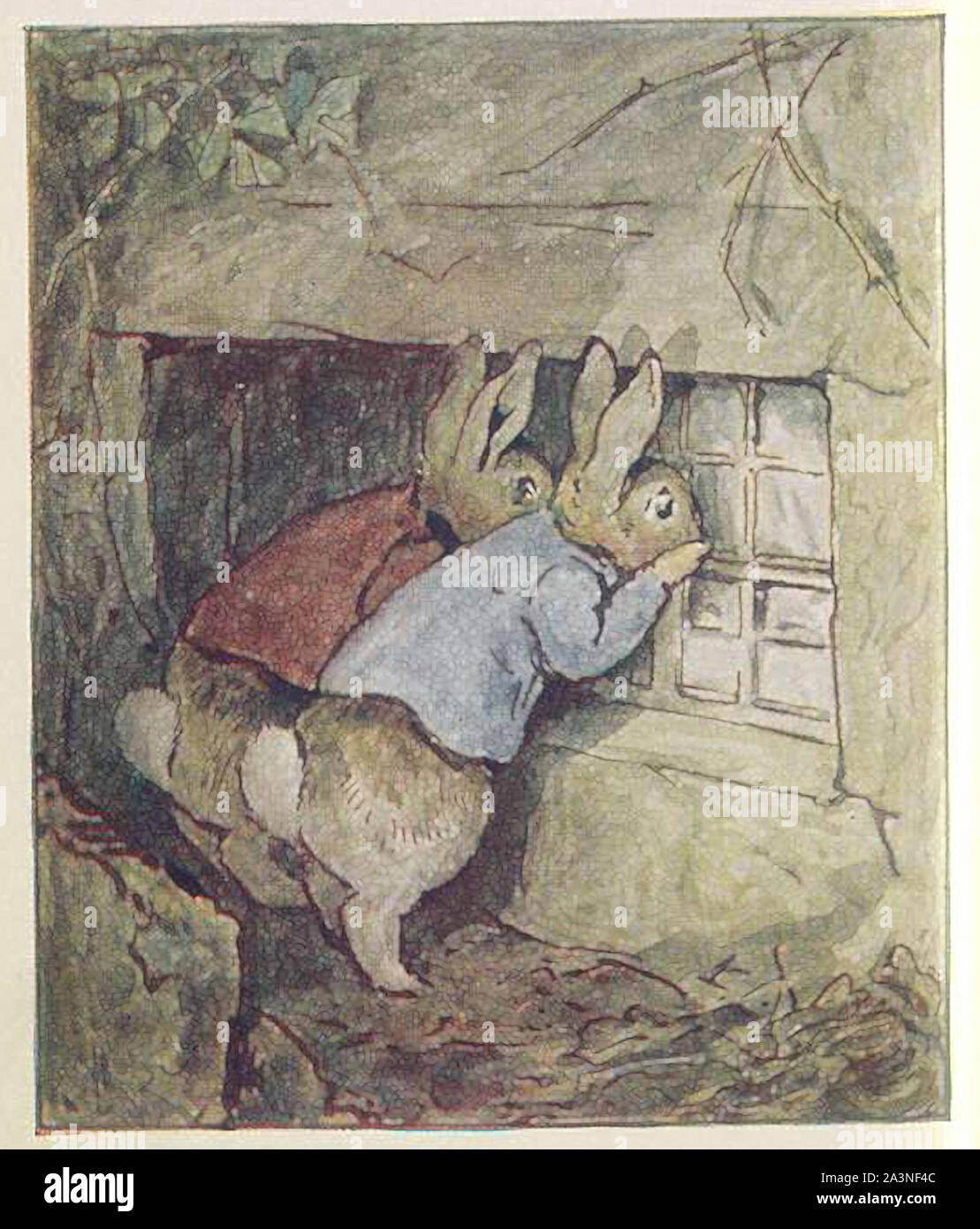 Beatrix Potter Benjamin Bunny High Resolution Stock Photography and ...