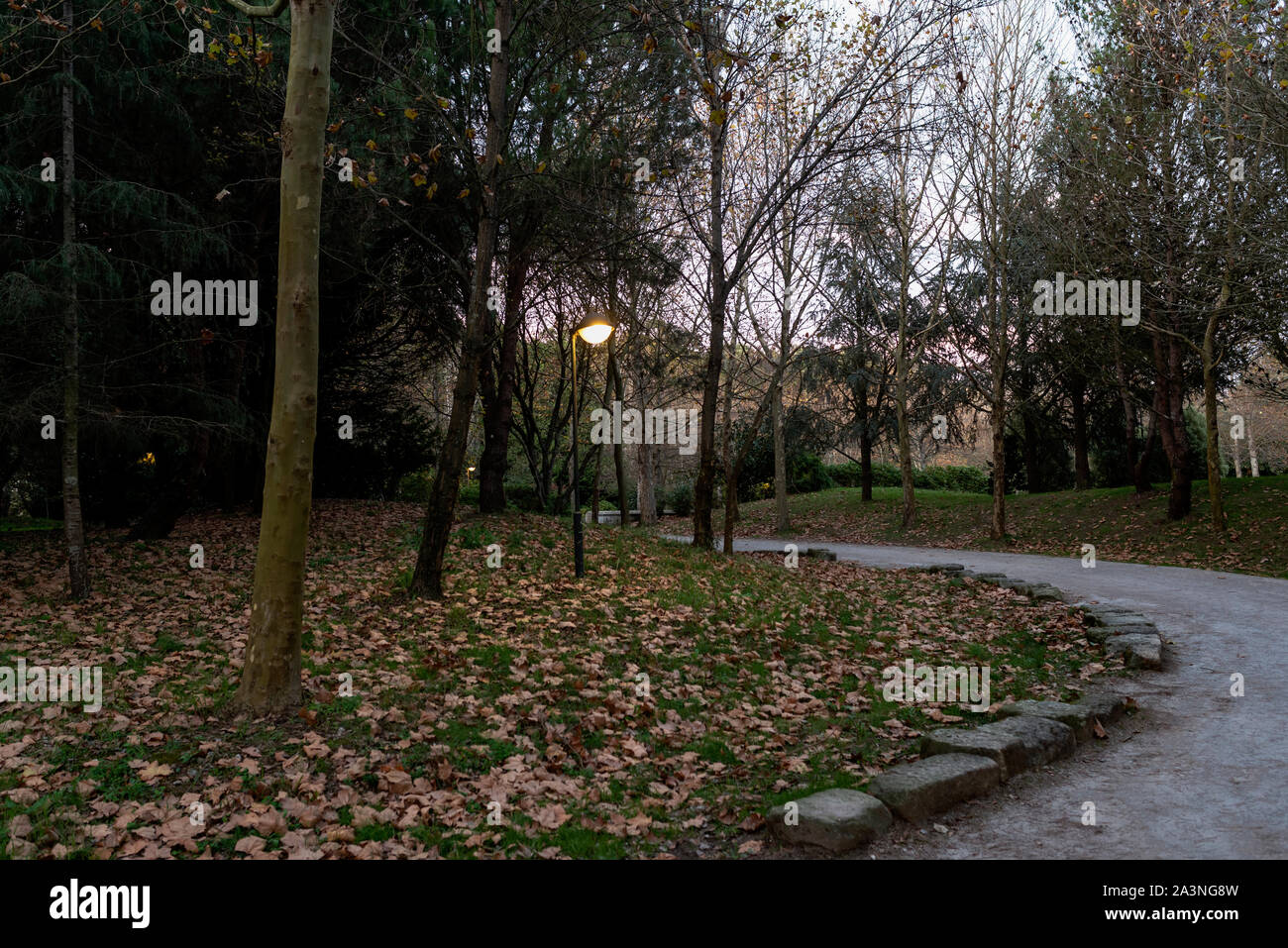 Evening at the park Stock Photo - Alamy