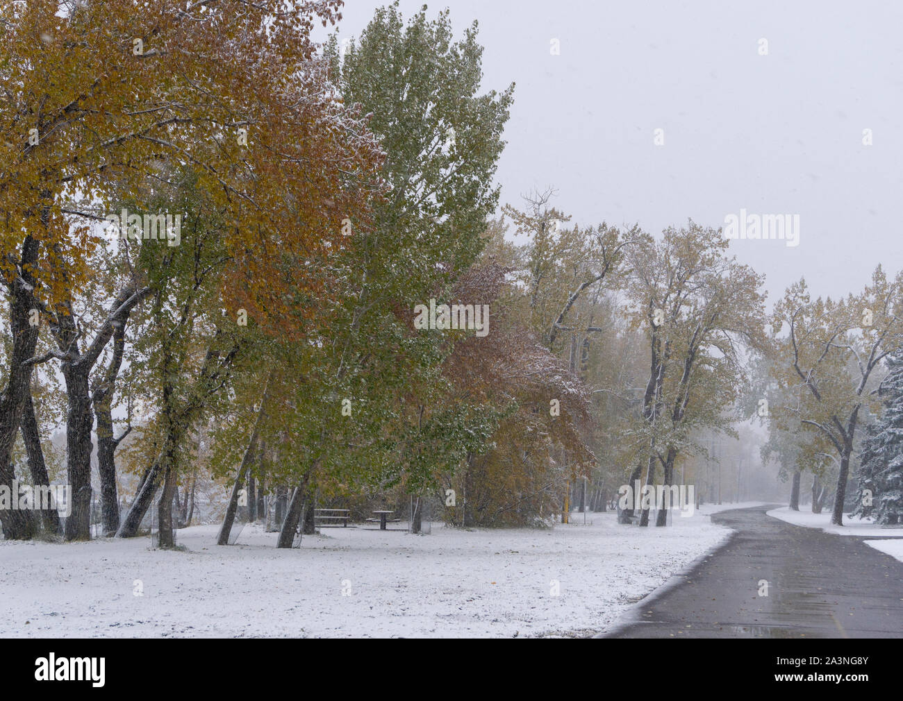 Bowness Park Calgary Alberta Stock Photo - Alamy