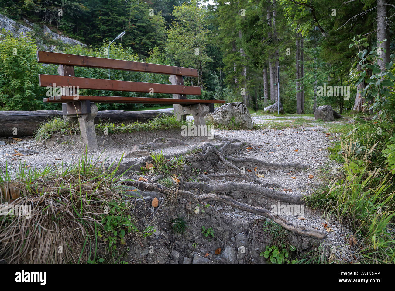 Forest - Bench for recreation in the woods Stock Photo - Alamy