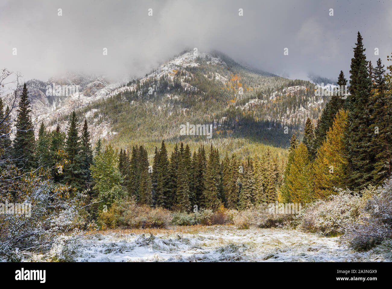 Scene from the Fenland Loop trail in Banff Alberta after the first ...