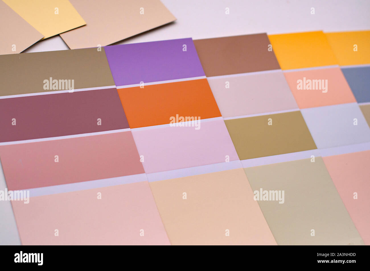 Color palette with various samples. Light background. Paint selection ...