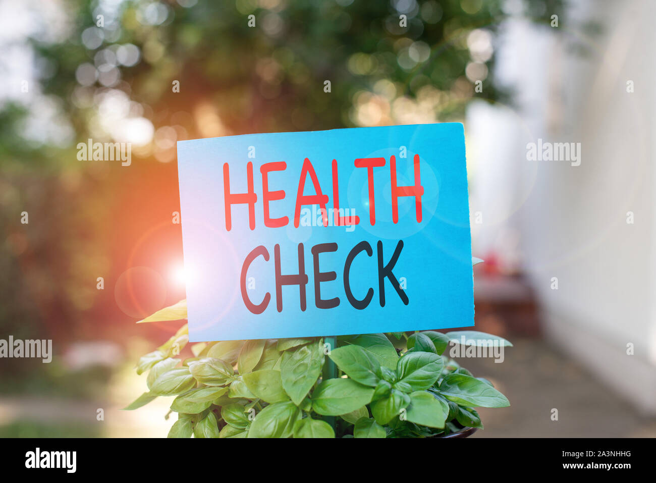 Writing note showing Health Check. Business concept for thorough ...