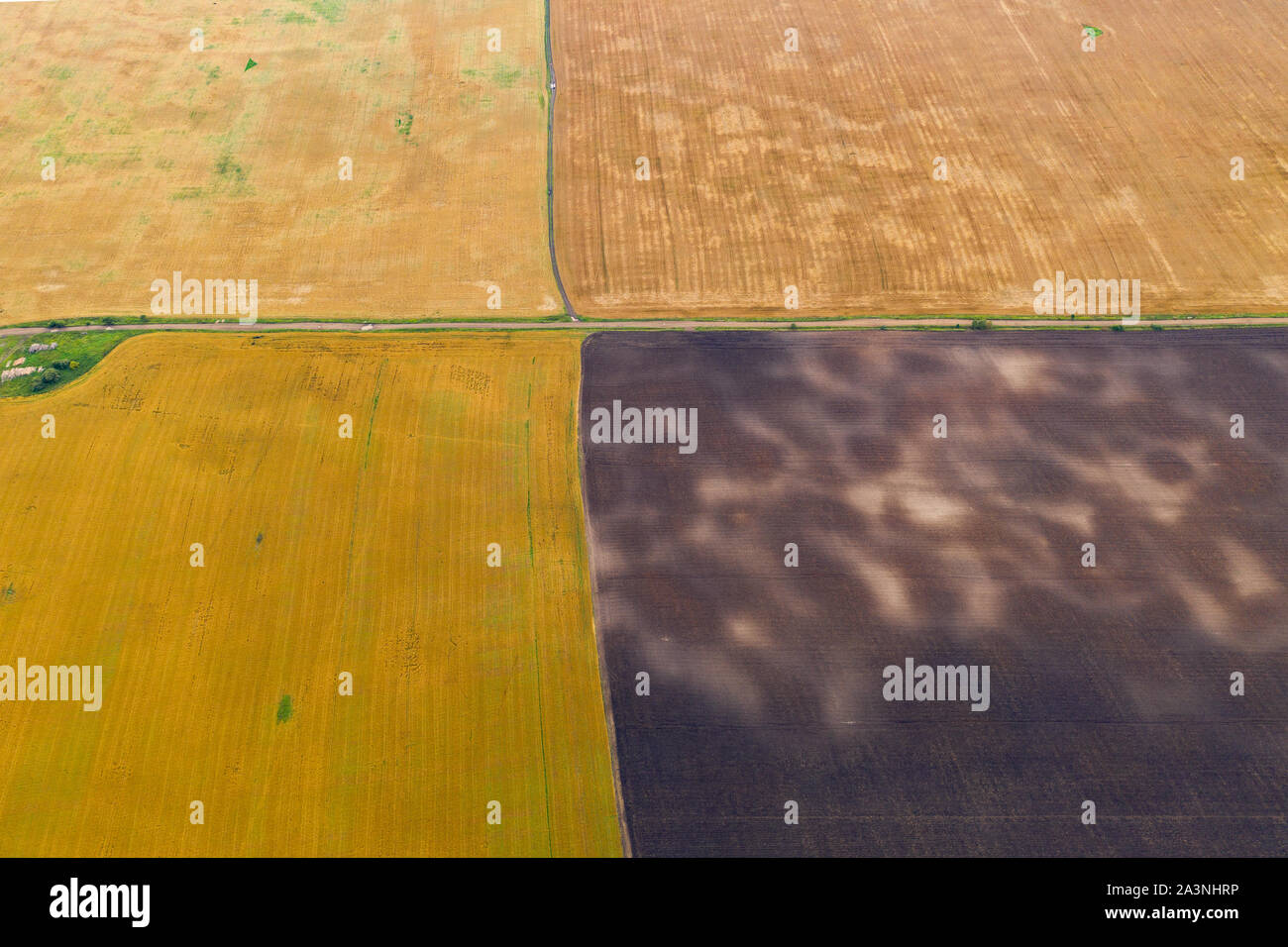 Aerial top view drone photography of a land with sown green fields in ...