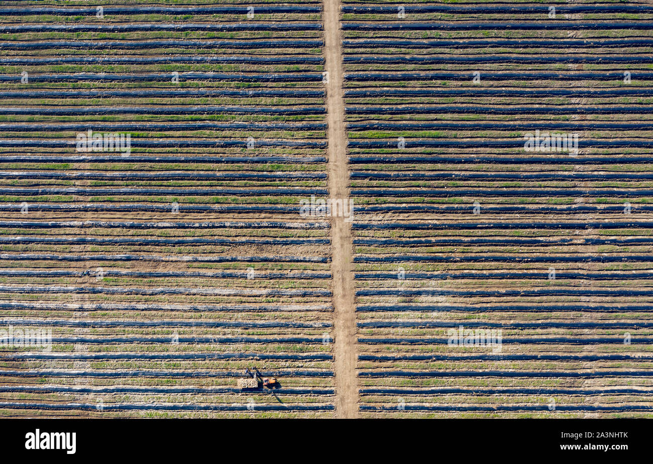 Aerial top view drone photography of a land with sown green fields in ...