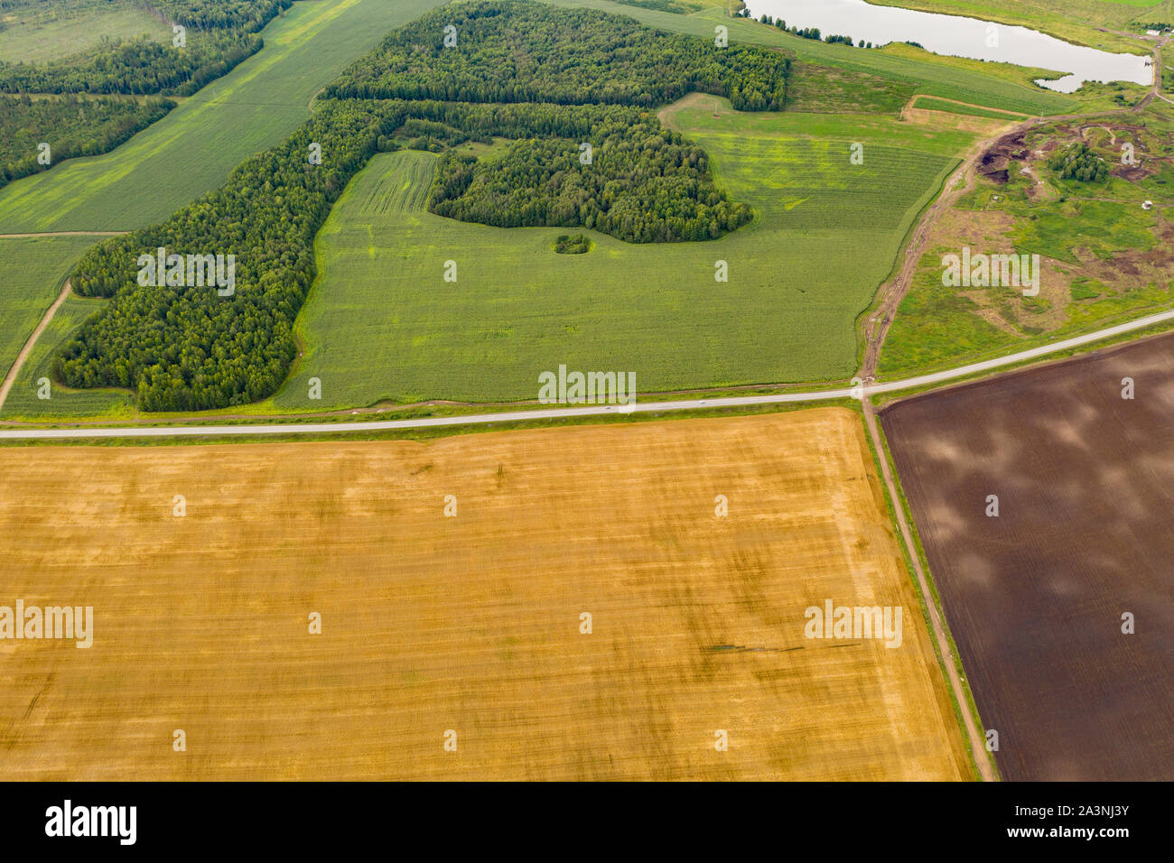 Aerial top view drone photography of a land with sown green fields in ...