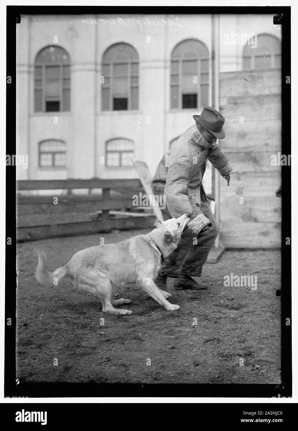 High society events Cut Out Stock Images & Pictures - Alamy