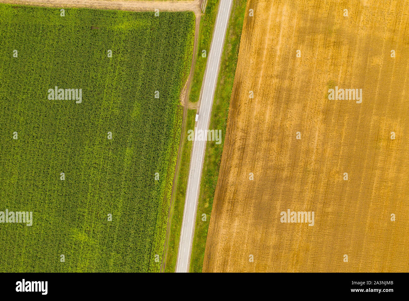 Aerial top view drone photography of a land with sown green fields in ...