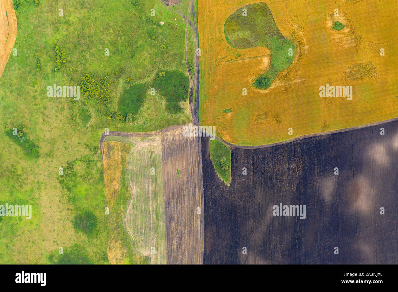 Aerial top view drone photography of a land with sown green fields in ...