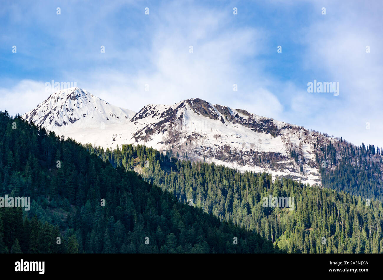 Snowcapped mountains overlooking layers of pine tree forest at Gagangir ...