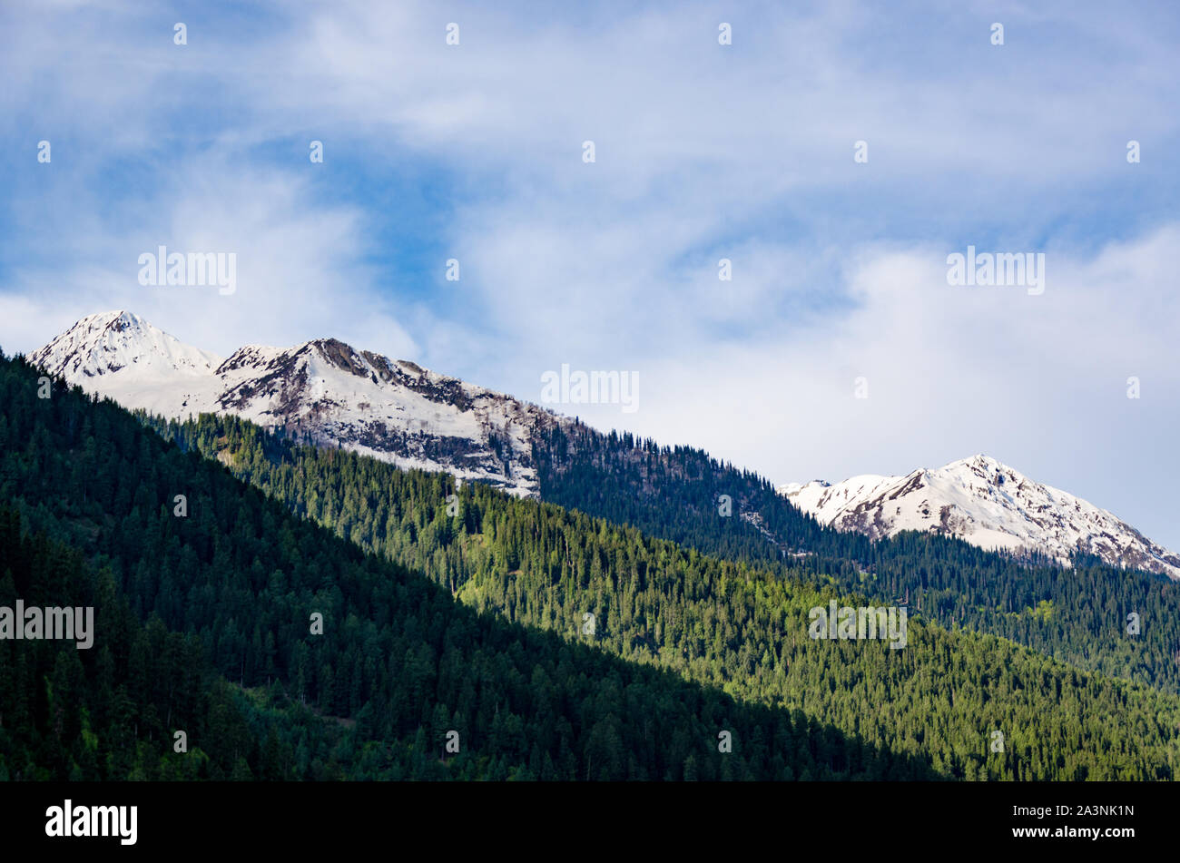 Snow kashmir beautiful pine tree hi-res stock photography and images ...