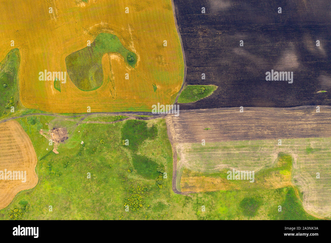 Aerial top view drone photography of a land with sown green fields in ...