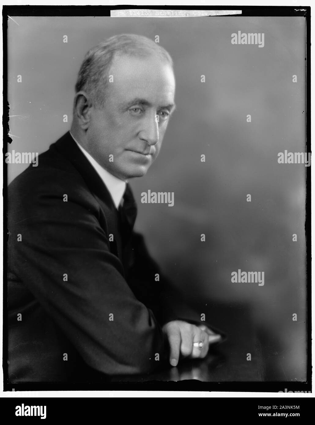 W starling hi-res stock photography and images - Alamy