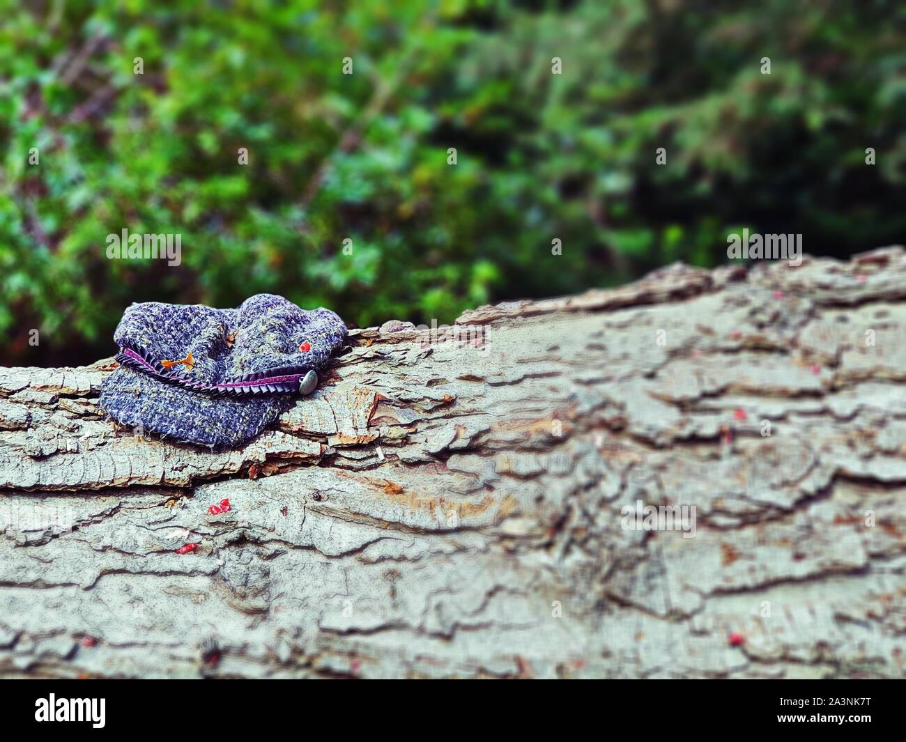 Peaked hat hi-res stock photography and images - Alamy
