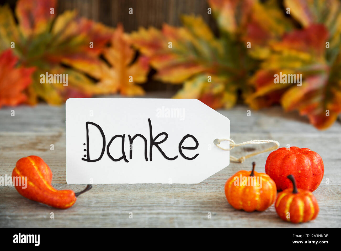 Label, Danke Means Thank You, Pumpkin And Leaves Stock Photo - Alamy