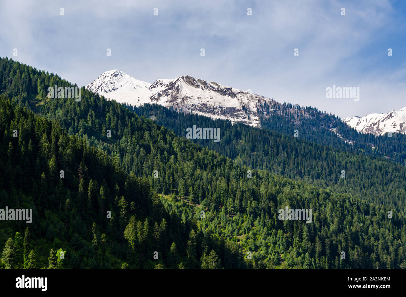 Snow kashmir beautiful pine tree hi-res stock photography and images ...