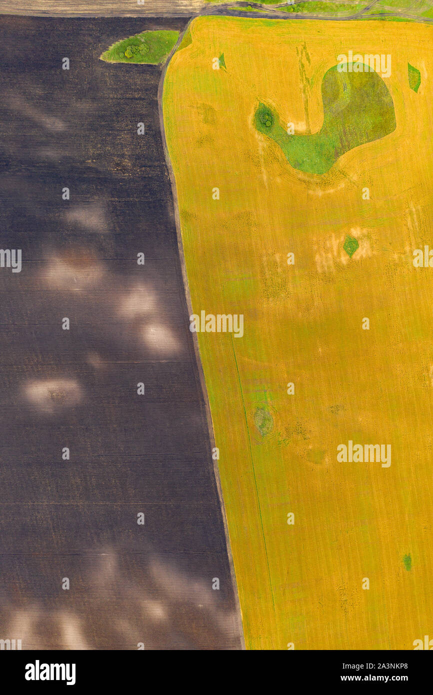Aerial top view drone photography of a land with sown green fields in ...