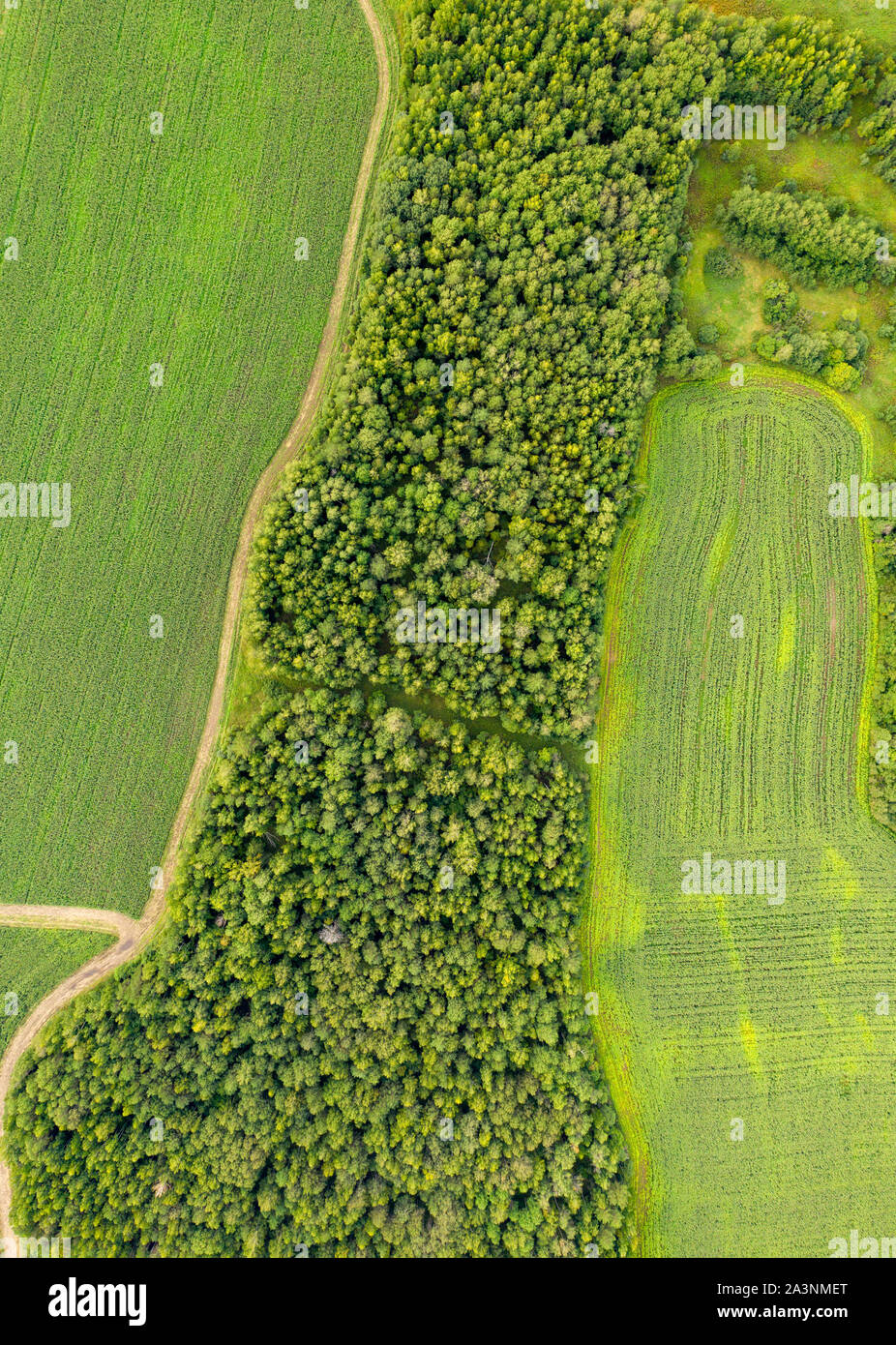 Aerial top view drone photography of a land with sown green fields in ...