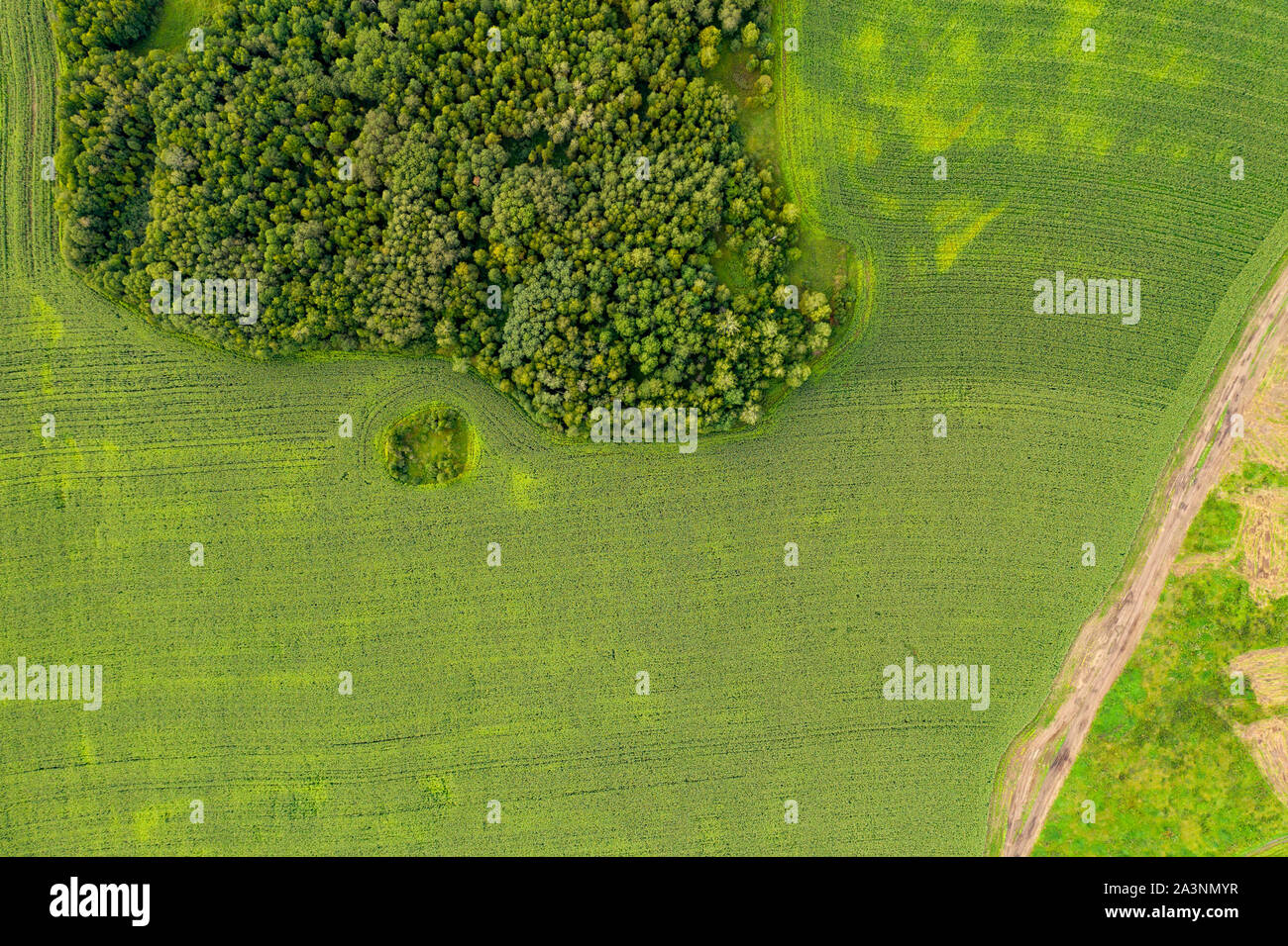 Aerial top view drone photography of a land with sown green fields in ...