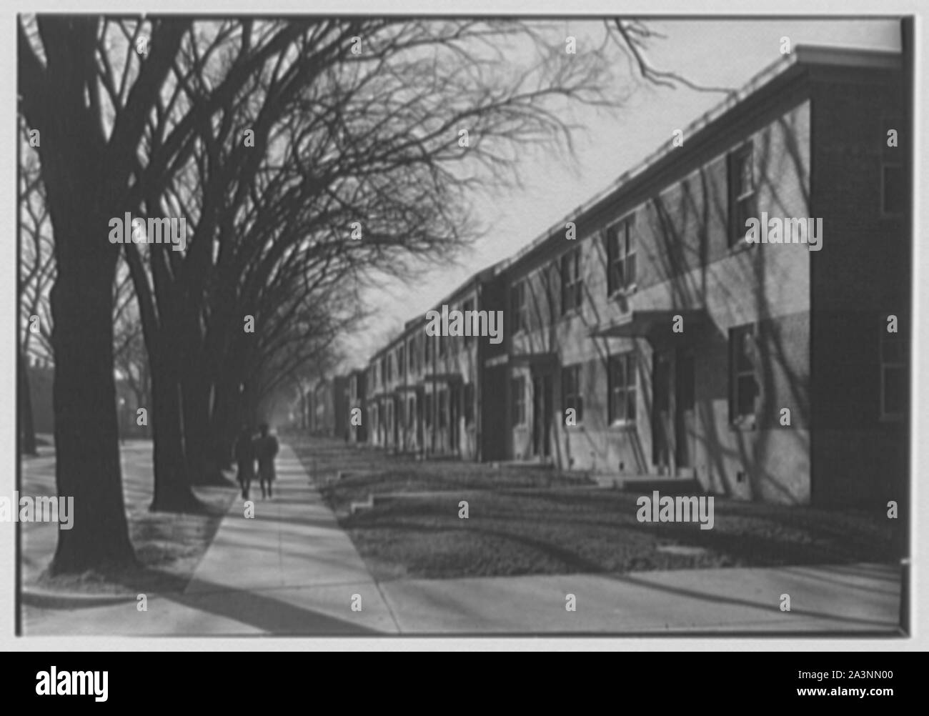 Syphax hi-res stock photography and images - Alamy