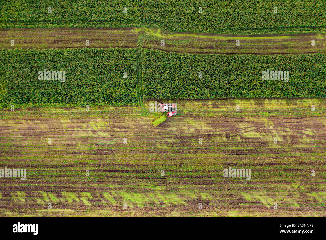Aerial top view drone photography of a land with sown green fields in ...