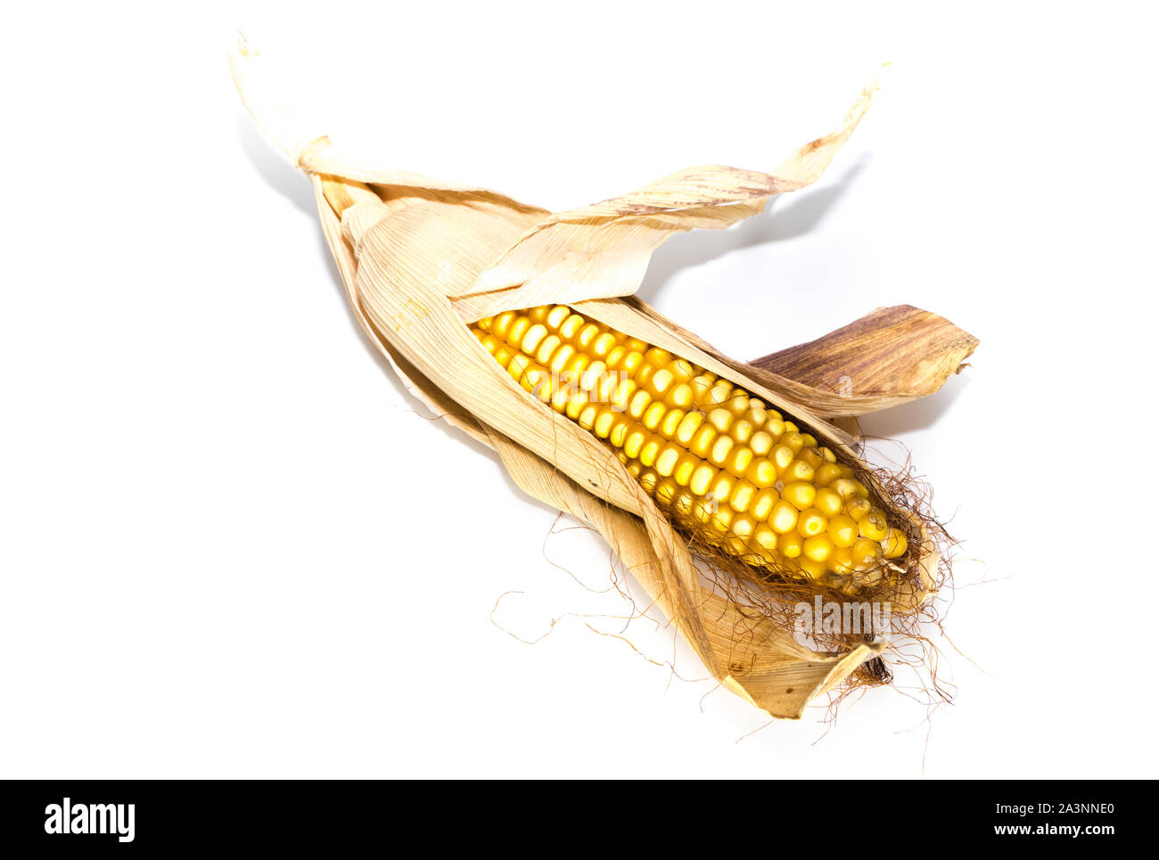 yellow corn isolated Stock Photo - Alamy