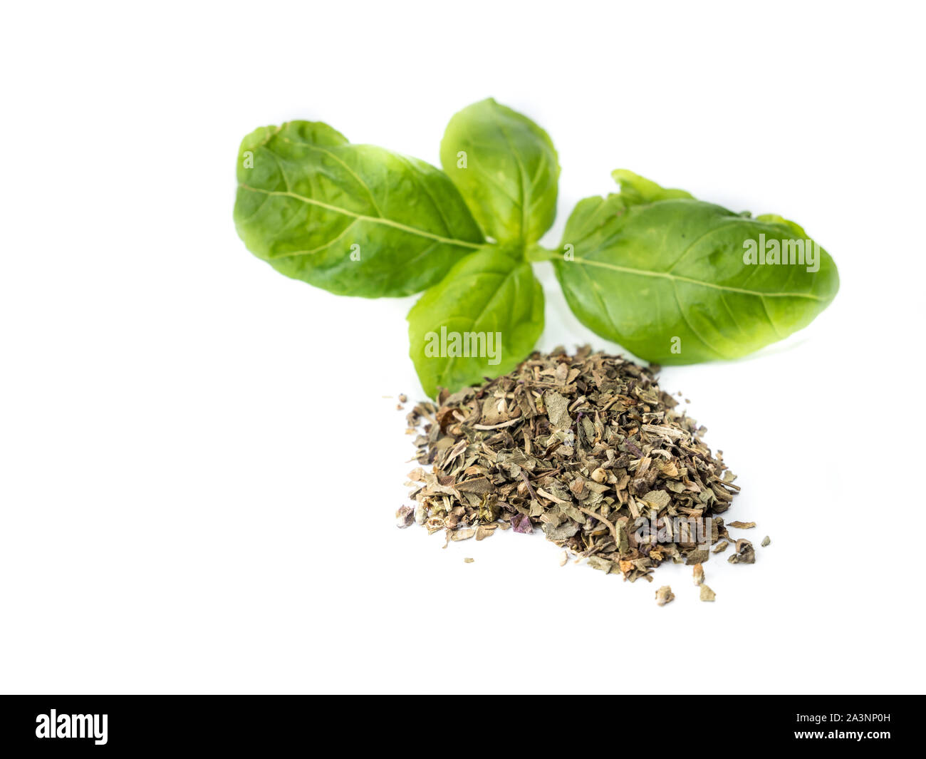 Ground basil Cut Out Stock Images & Pictures - Alamy