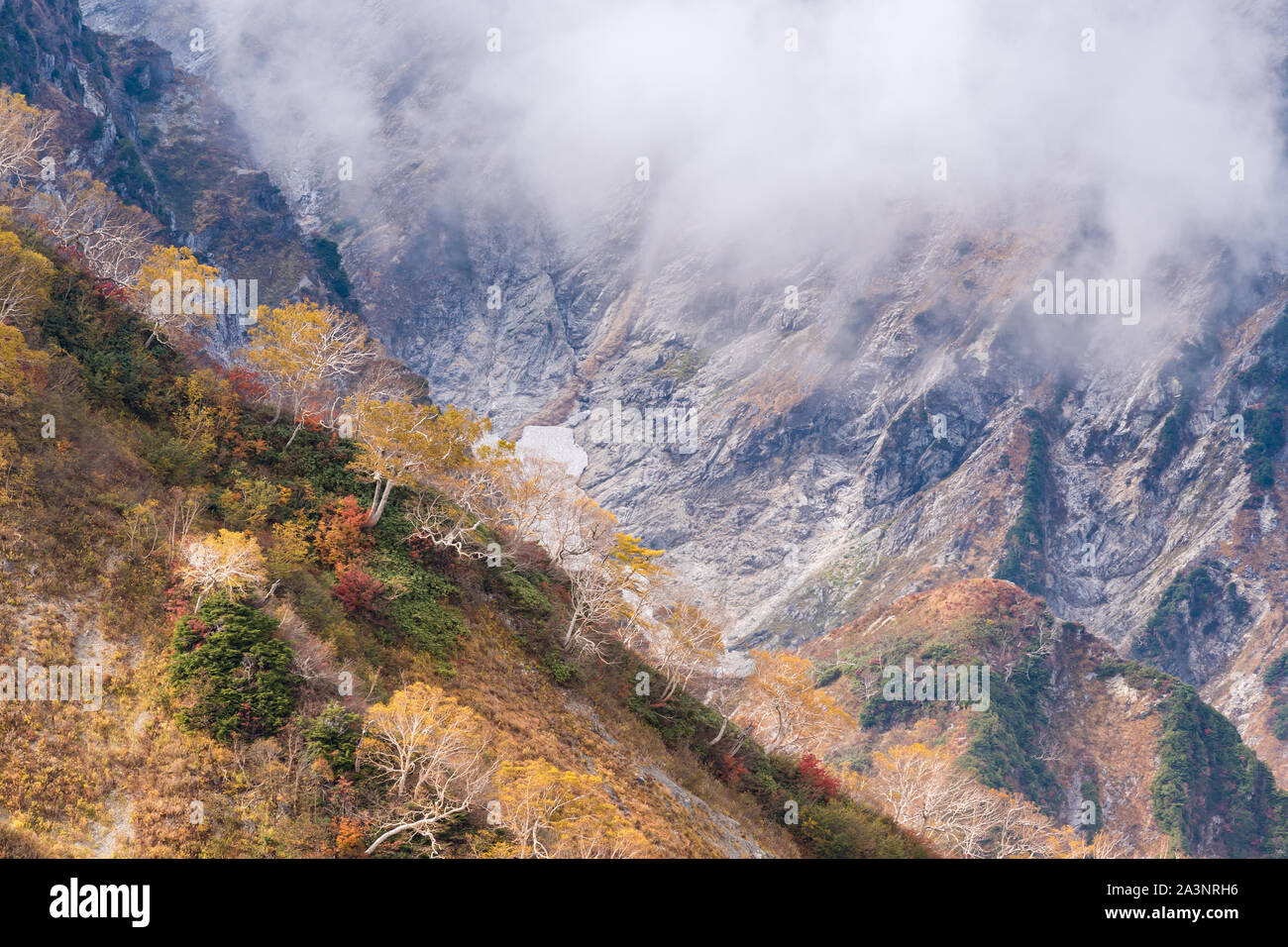 Landscape of Autumn Fall of Hakuba Valley in Nagano Chubu Japan Stock ...