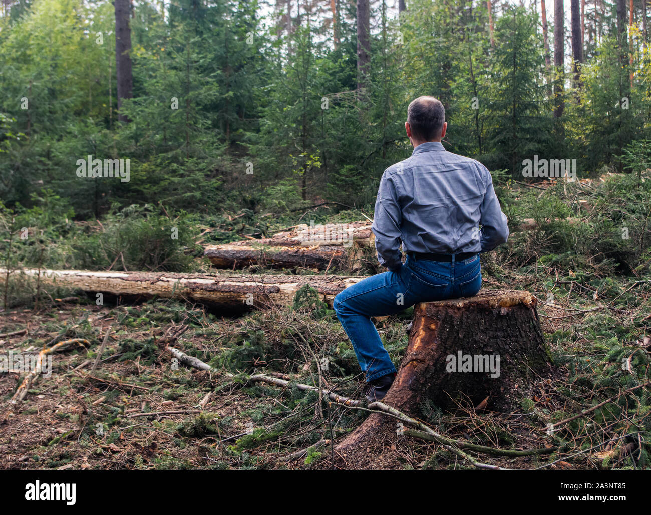 Man sitting on tree stump hi-res stock photography and images - Alamy
