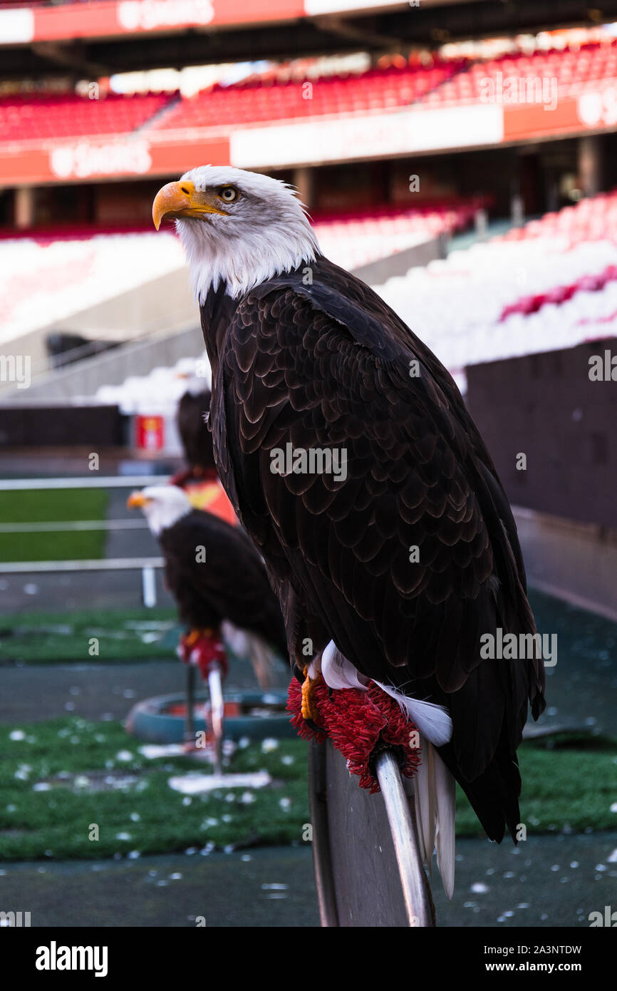 October 6th, 2019, Lisbon, Portugal - Vitoria, an eagle and the mascot ...