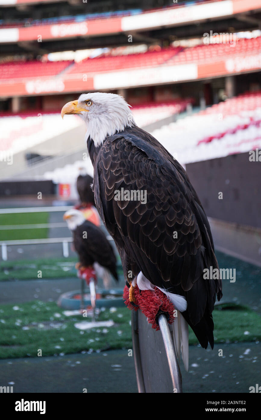 October 6th, 2019, Lisbon, Portugal - Vitoria, an eagle and the mascot ...